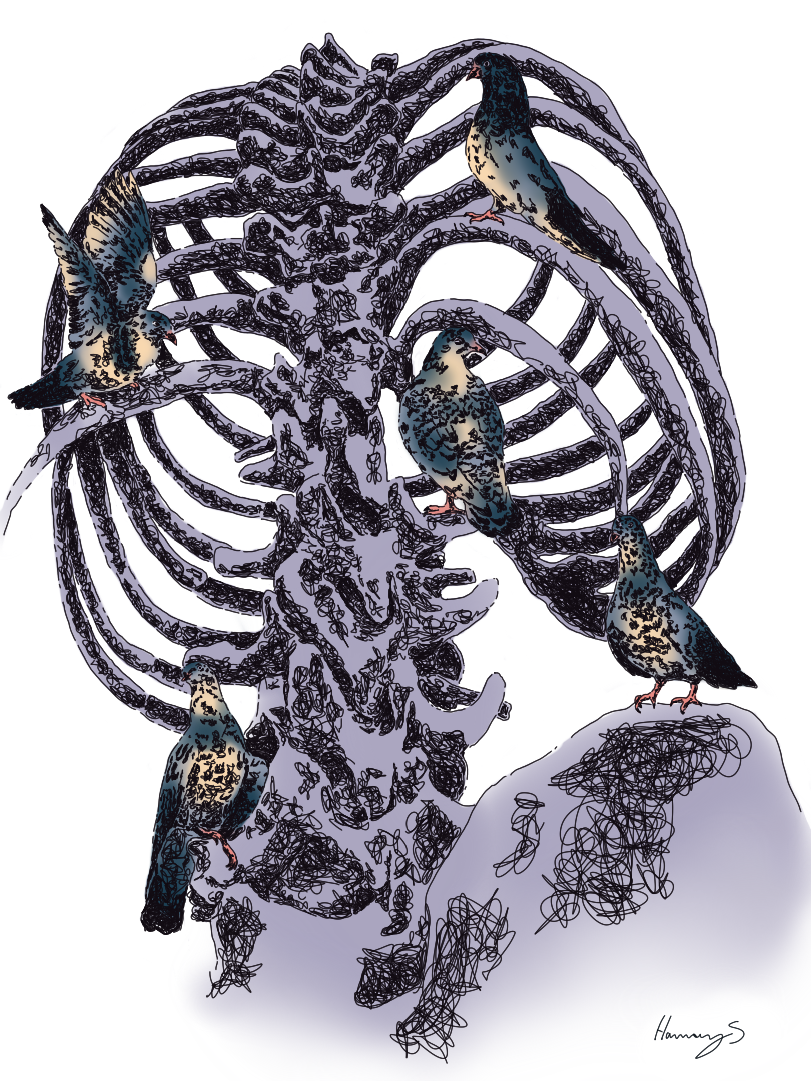 Pigeon skeleton print – harmos art